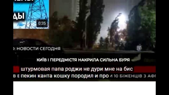 Мне на бис Пекин Канта кошку породил!.mp4