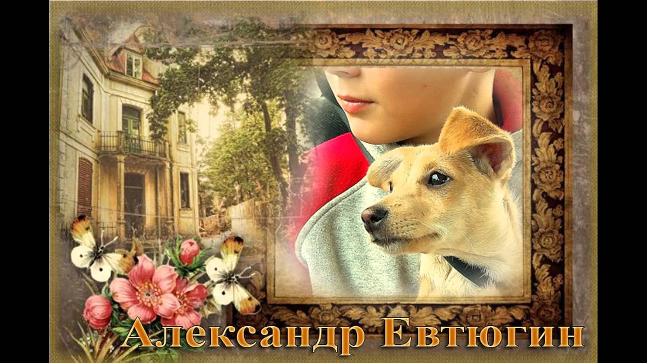 С 23 февраля, ЖВН!