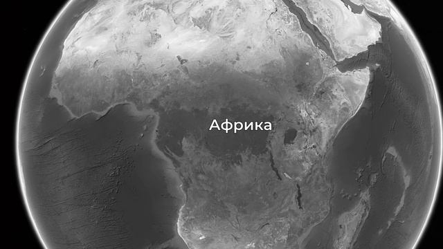 Газель дама+ (1)