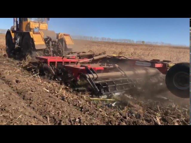Работа бороны дискочизельной БДЧ 5х4 С РОСОМАХА производства БДТ-АГРО в Румынии