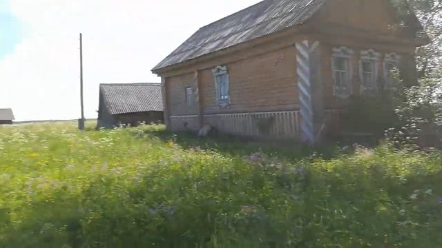 МАЛЕНЬКИЙ ОБЗОР РОМАНОВСКИХ МЕДОНОСОВ