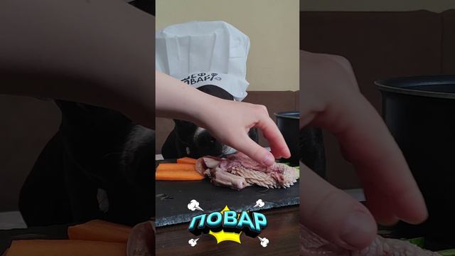 Кусочки говядины! Оценка от стаффи 🍽️ #стаффи #повар #рецепт #собака #кухня #рейтинг #оценки #обзор