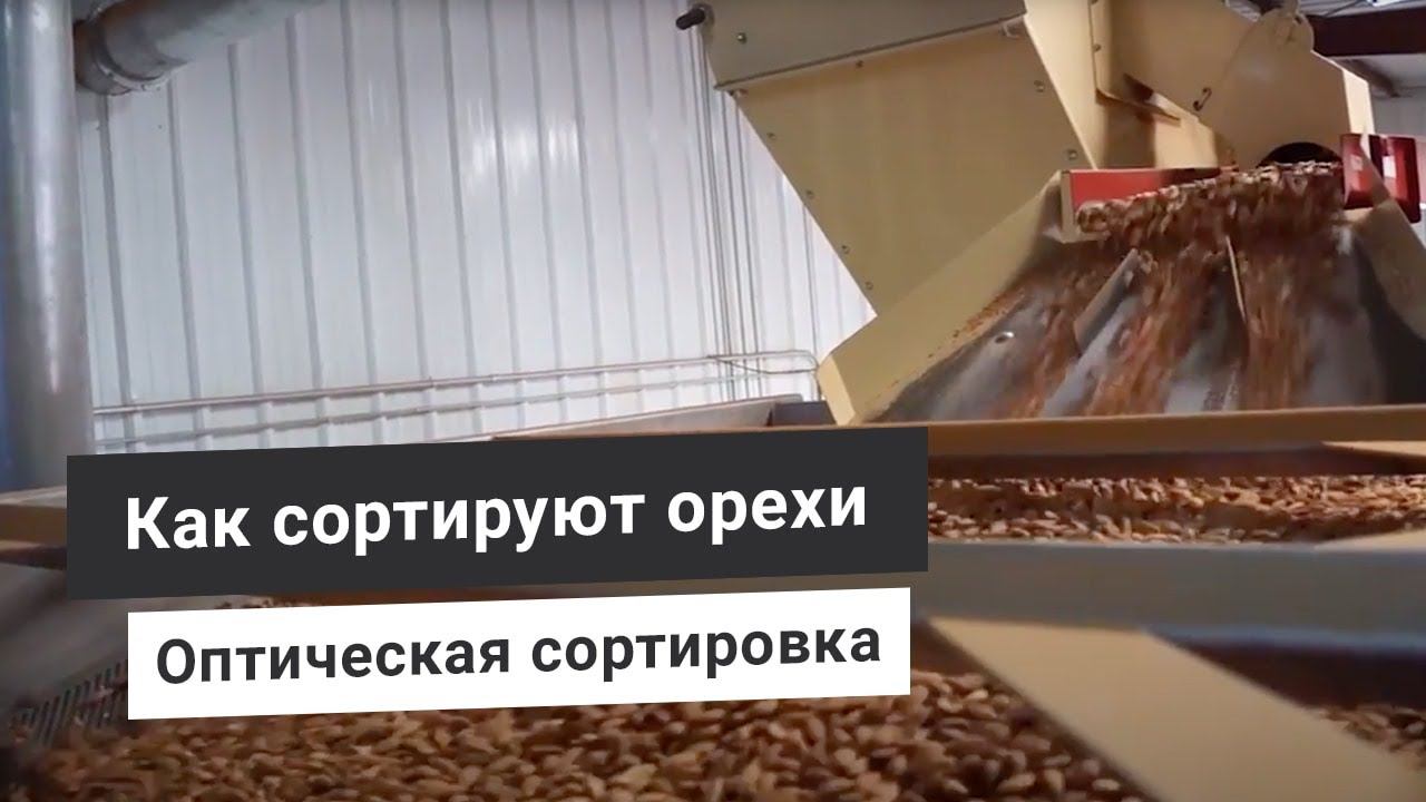 Оптическая сортировка орехов - очистка от мусора с помощью машины для лазерной  сортировки Томра