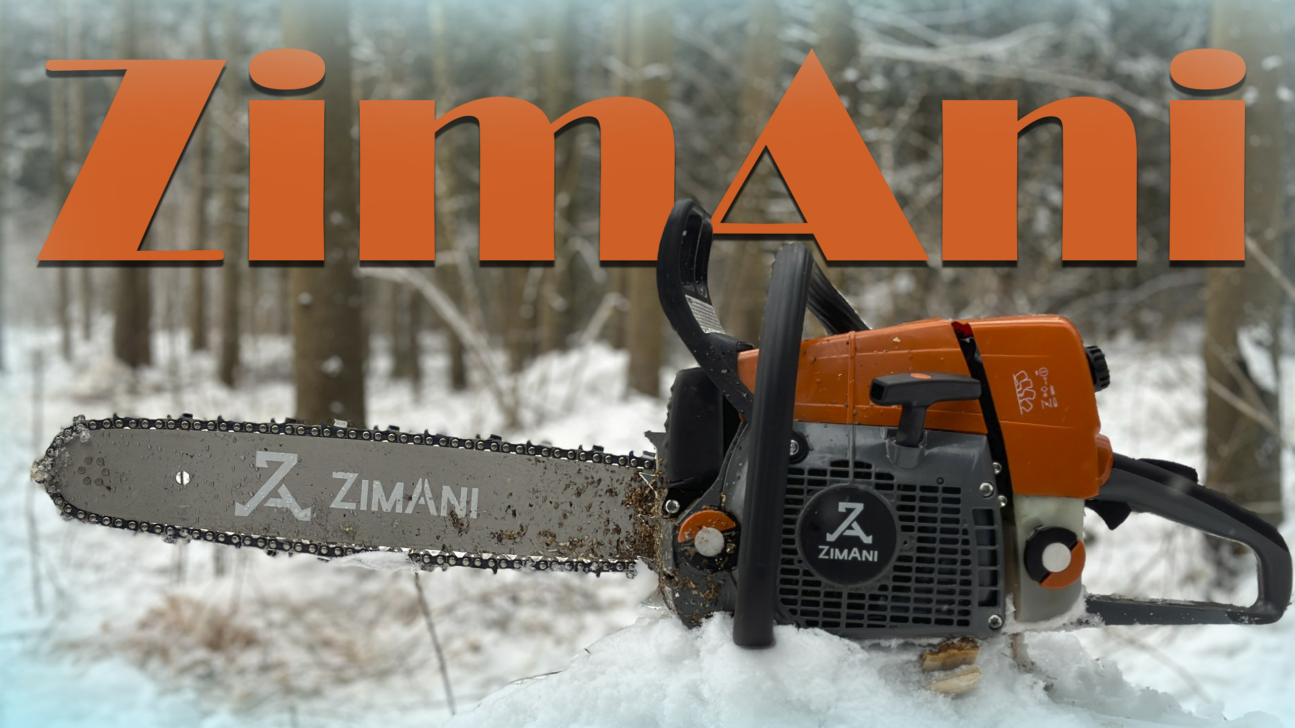 Чуть не убило! Все по настоящему! Валим лес бензопилами ZimAni с лесорубами!