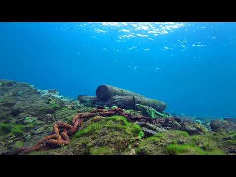 Аква-эко. Подводная установка новогодней ëлочки на Байкале