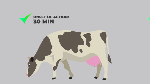 Oxylong: antibacterial solution