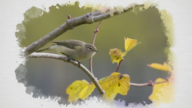 Альбом "Птицы". Осень.