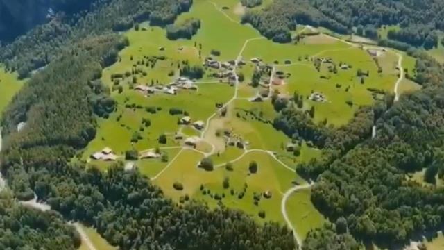 Характер вашего питомца по нумерологии вашего адреса