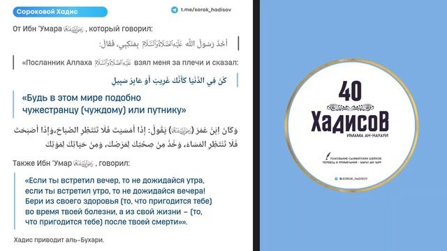 40 - ой Хадис (Будь в этом мире чужестранником) | Марат абу Зарр