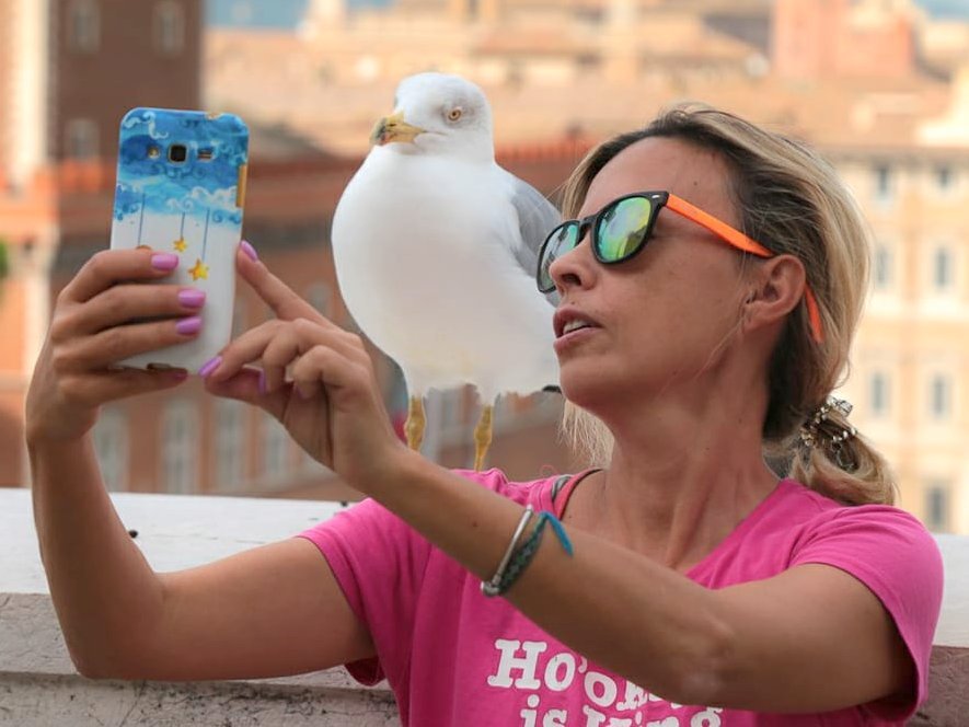 Вебинар "Привлечение дополнительных ресурсов в проект через создание информационных поводов"