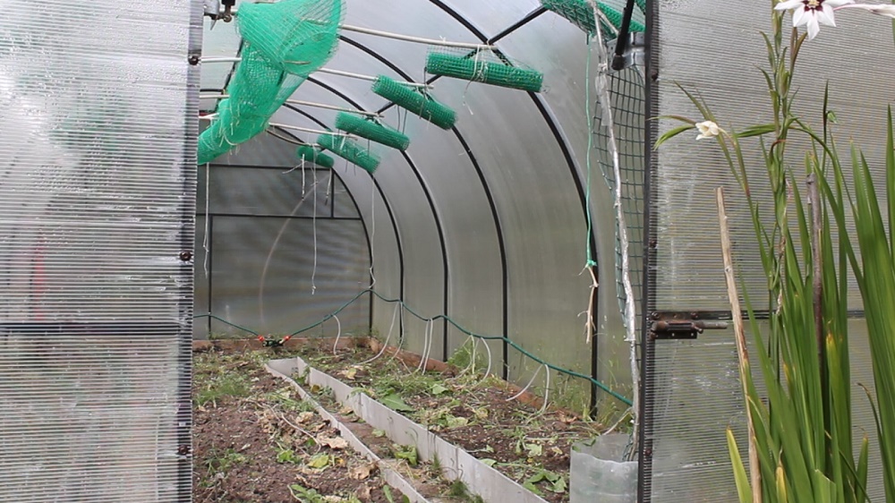 Опора для огурцов в теплице часть 2