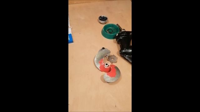 ремонт и модернизация лодочного мотора Салют часть 1.mp4