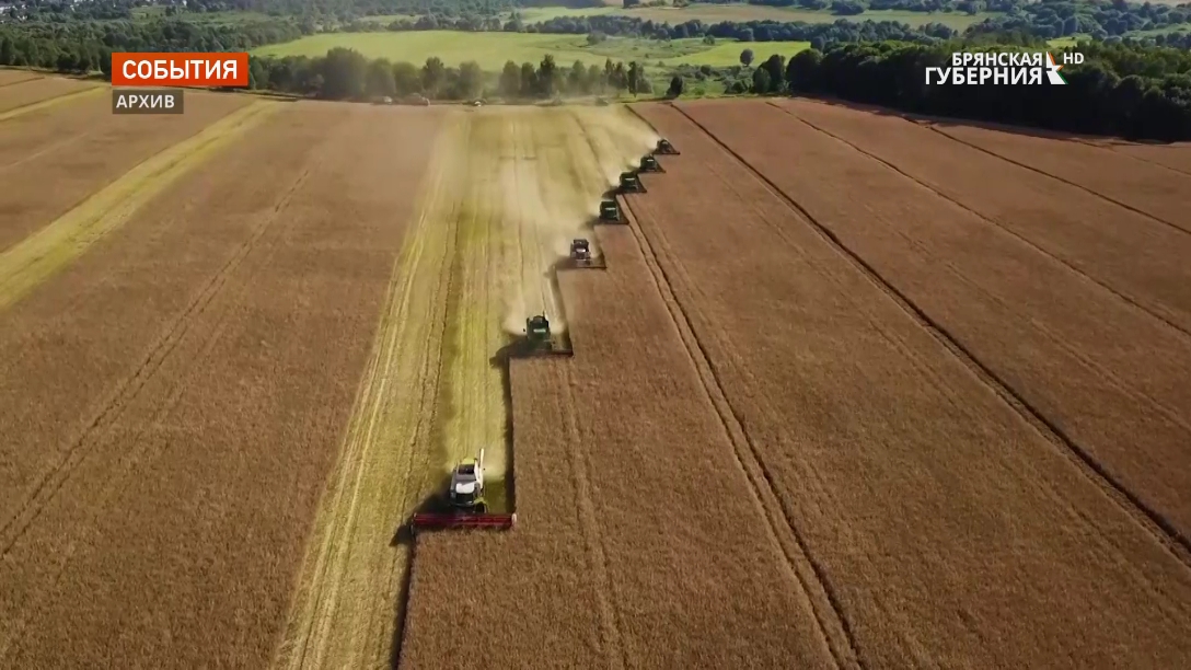В Дубровском районе состоялся семинар по заготовке кормов