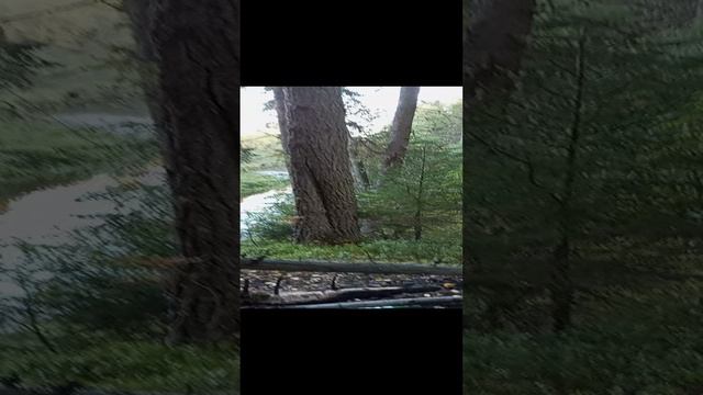 12 дельта со стороны