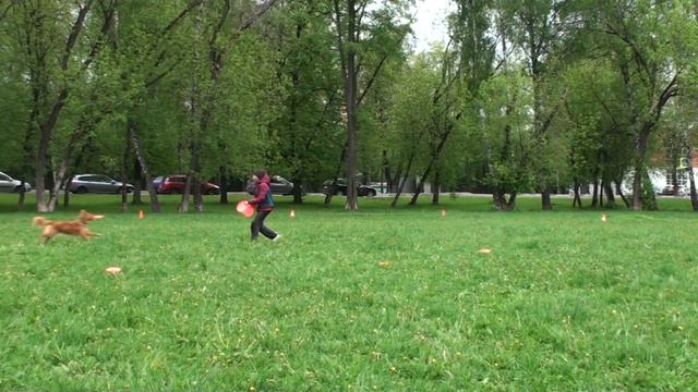 Турнир Победы Алия и Ирвин.mp4