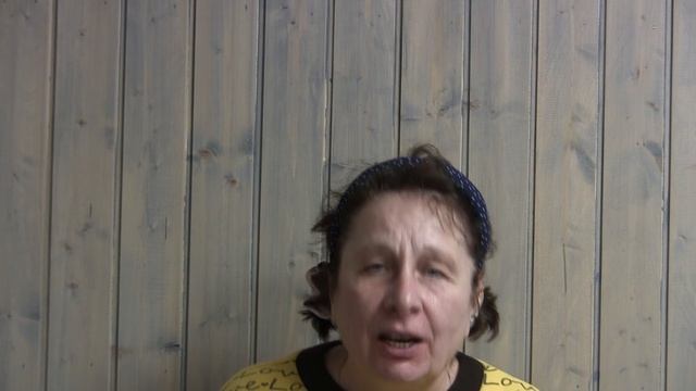 Небылица в лицах