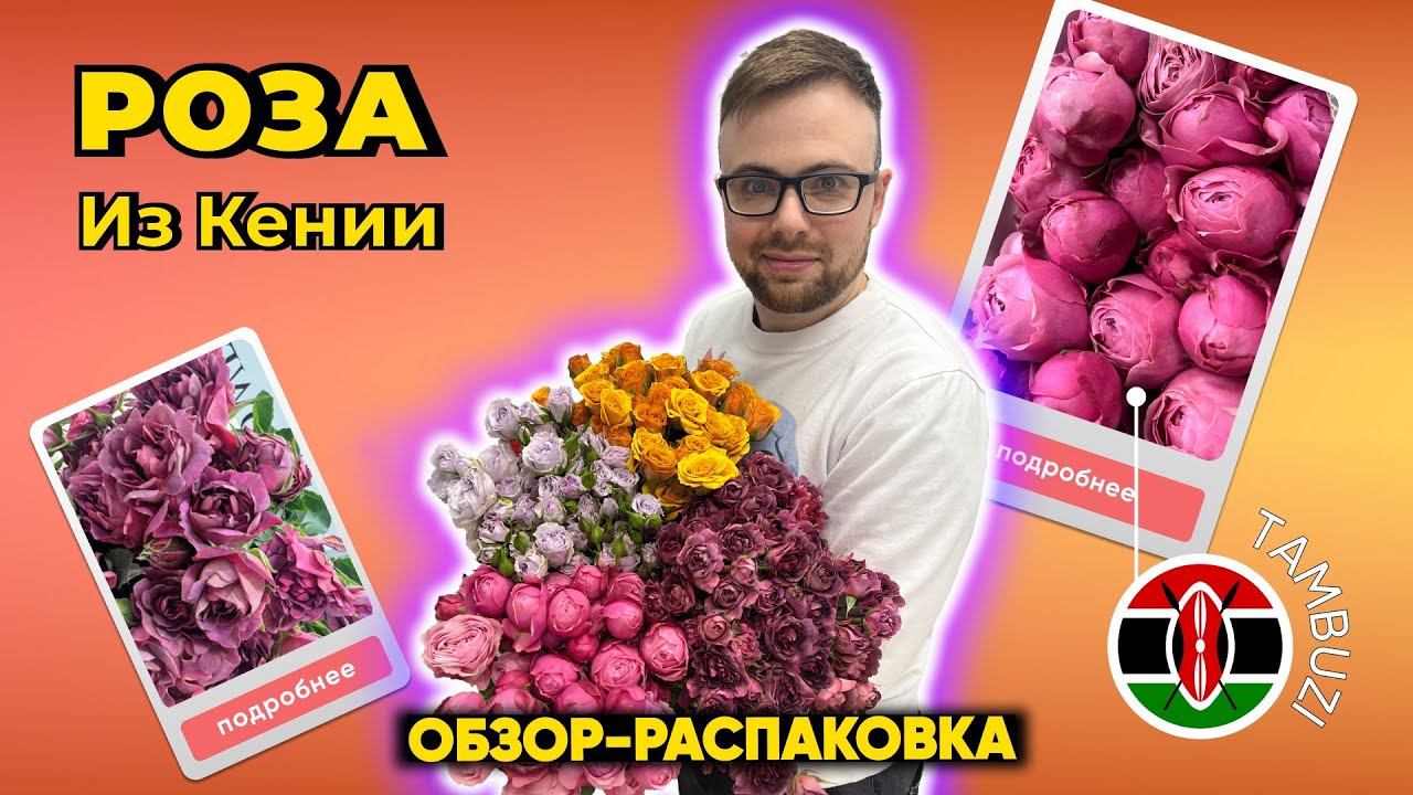 ОБЗОР-РАСПАКОВКА: роза из Кении