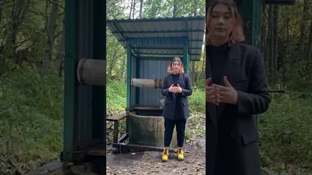 Источники жизни в Хорлово Суворкина Александра Юлина Анастасия Даниярова Дарья го Воскресенск