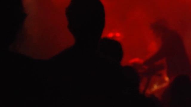 СОБАКИ ТАБАКА  Искры