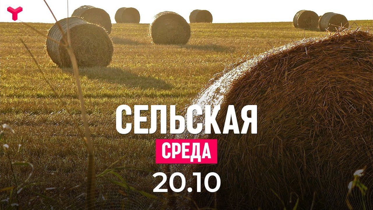 Сельская среда 20.10.2021