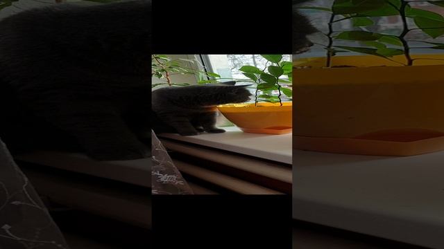 20230120_123128_1.mp4