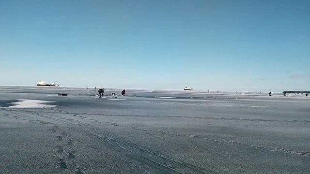 На ловле корюшки. Санкт Петербург