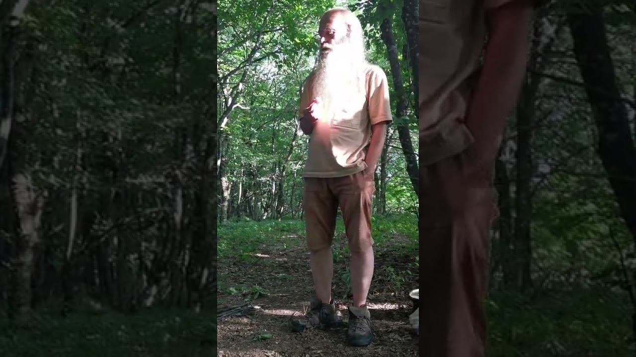 ЛАД  Сказ  Великий переход  Миры