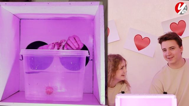 «Что в коробке?» Выпуск №4 (Valentine's Day)