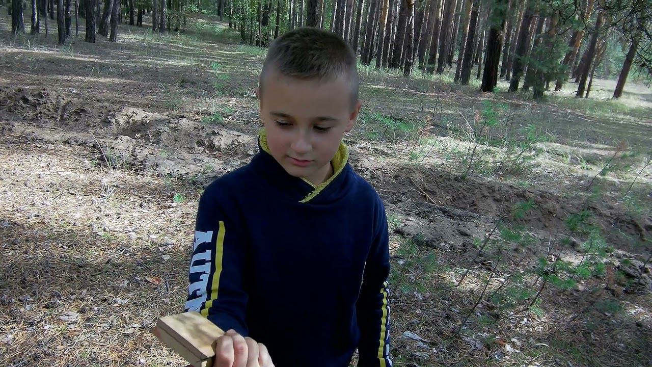 Тихая охота на грибы