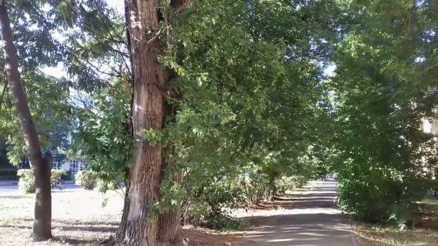 Выпуск № 7. Сормовское шоссе, Бурнаковский проезд, улицы Куйбышева и Шаляпина