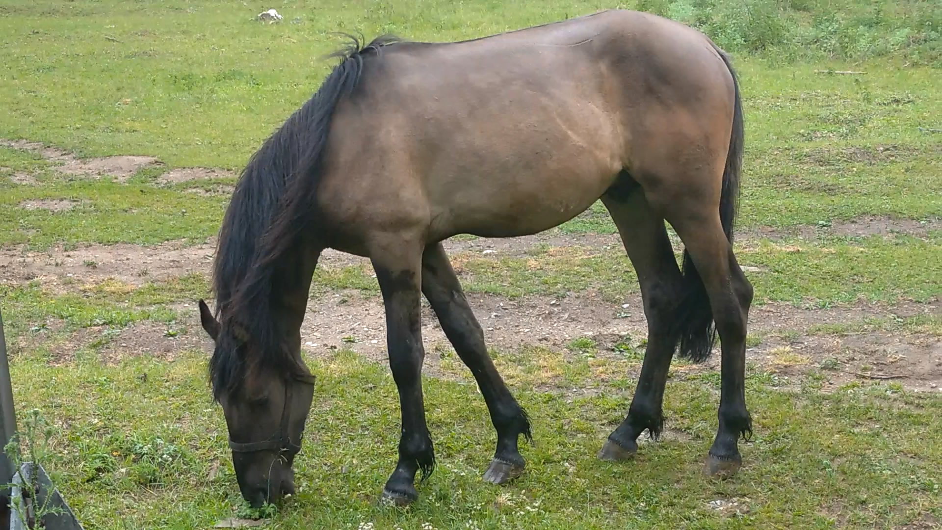 Тишина и спокойствие