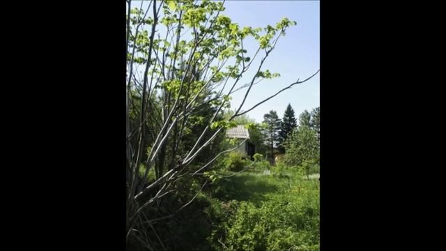 Стихи. Год грядущий.