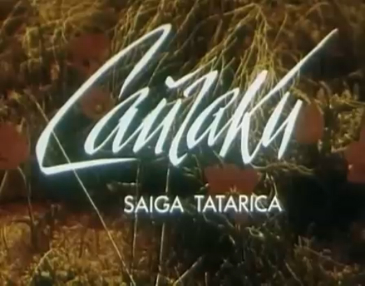 В объективе животные. Сайгаки