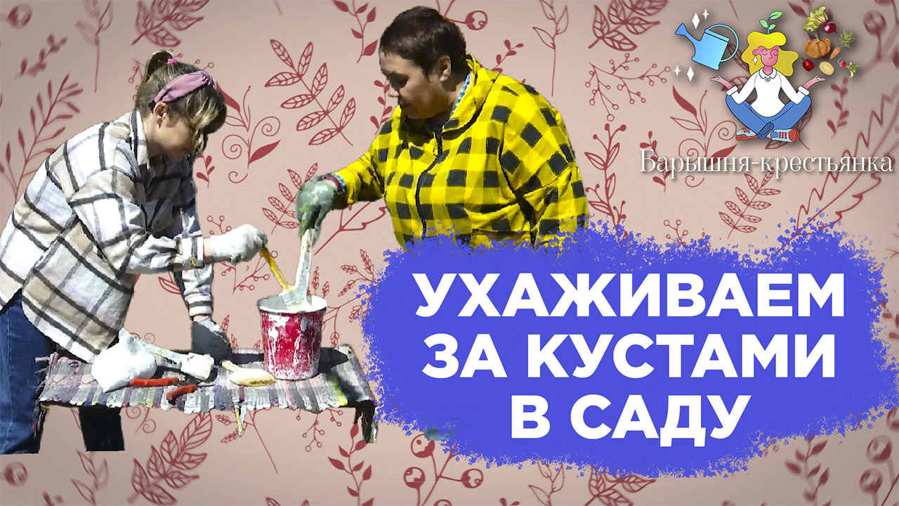 Зачем белить деревья?