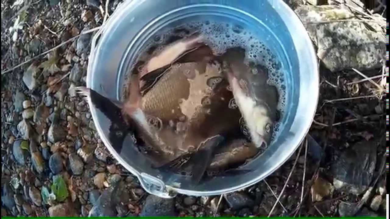 Летняя рыбалка 2015 года.