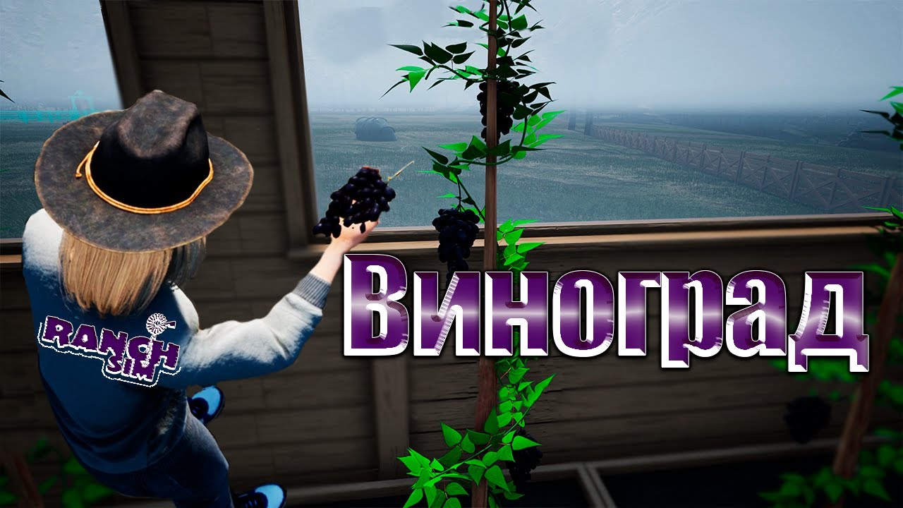 Выращиваем САМЫЙ ВЫГОДНЫЙ урожай в теплице. Ranch simulator #9. КООП.