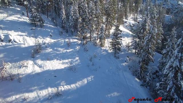 Las cuatro estaciones El invierno. The four seasons. A. Vivaldi. Emociones y música.Winter Vivaldi