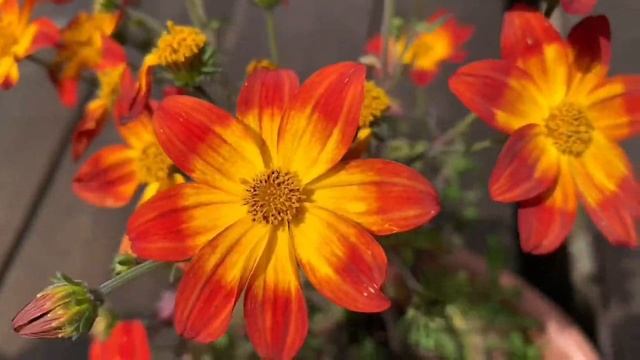 День Крещения Руси