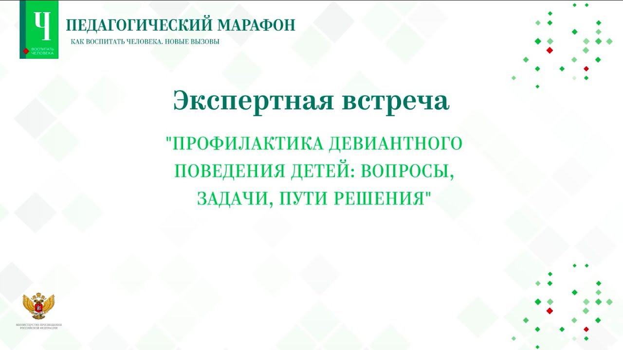 Экспертная встреча: «Профилактика девиантного поведения детей: вопросы, задачи, пути решения»