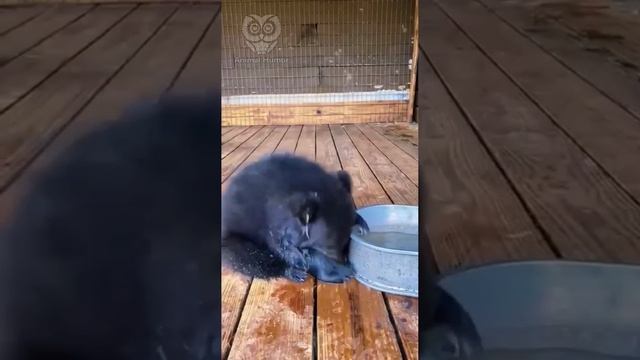 Маловат водоём!