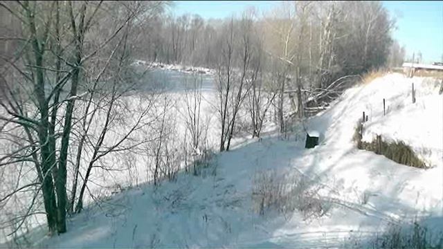 Южный виноград проигрывает алтайскому.