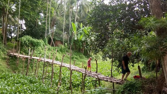 зеленый мост на сваях