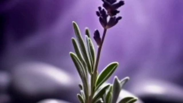 Вера Зайцева о диагнозе «синдром Ашера» узнала 26 лет назад