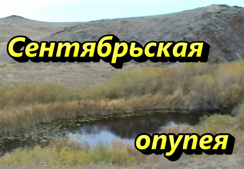 Сентябрьская опупея