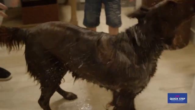 Ламинат Quick-Step с технологией HydroSeal