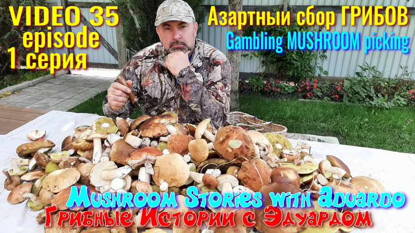 Азартный Сбор ГРИБОВ! 35 выезд, 1 Серия. Грибные Истории с Эдуардом