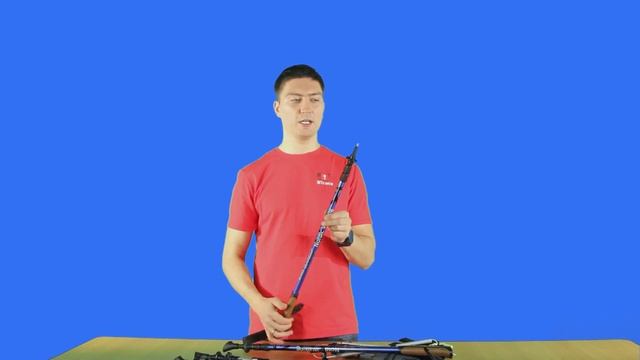 BTrace Палки для скандинавской ходьбы