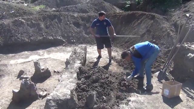 Яйцо с раскопов.mp4