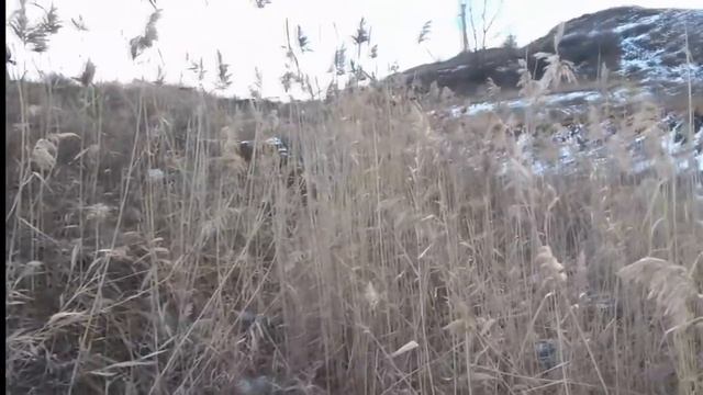 ( 18+)охота на зайца  в оттепель (гоп компания и бакс продакшн).mp4