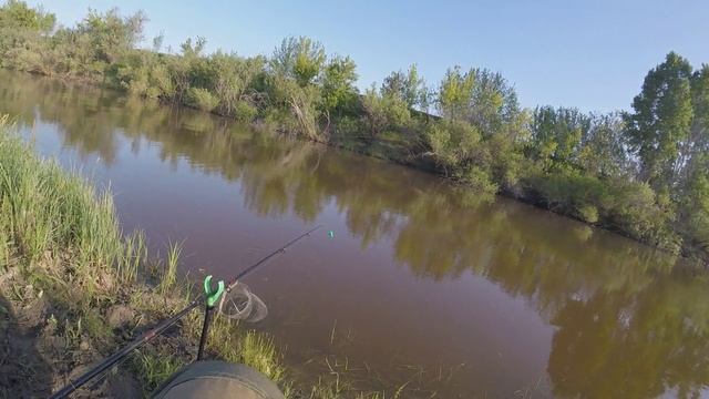 На Омке рыба прёт на донки.